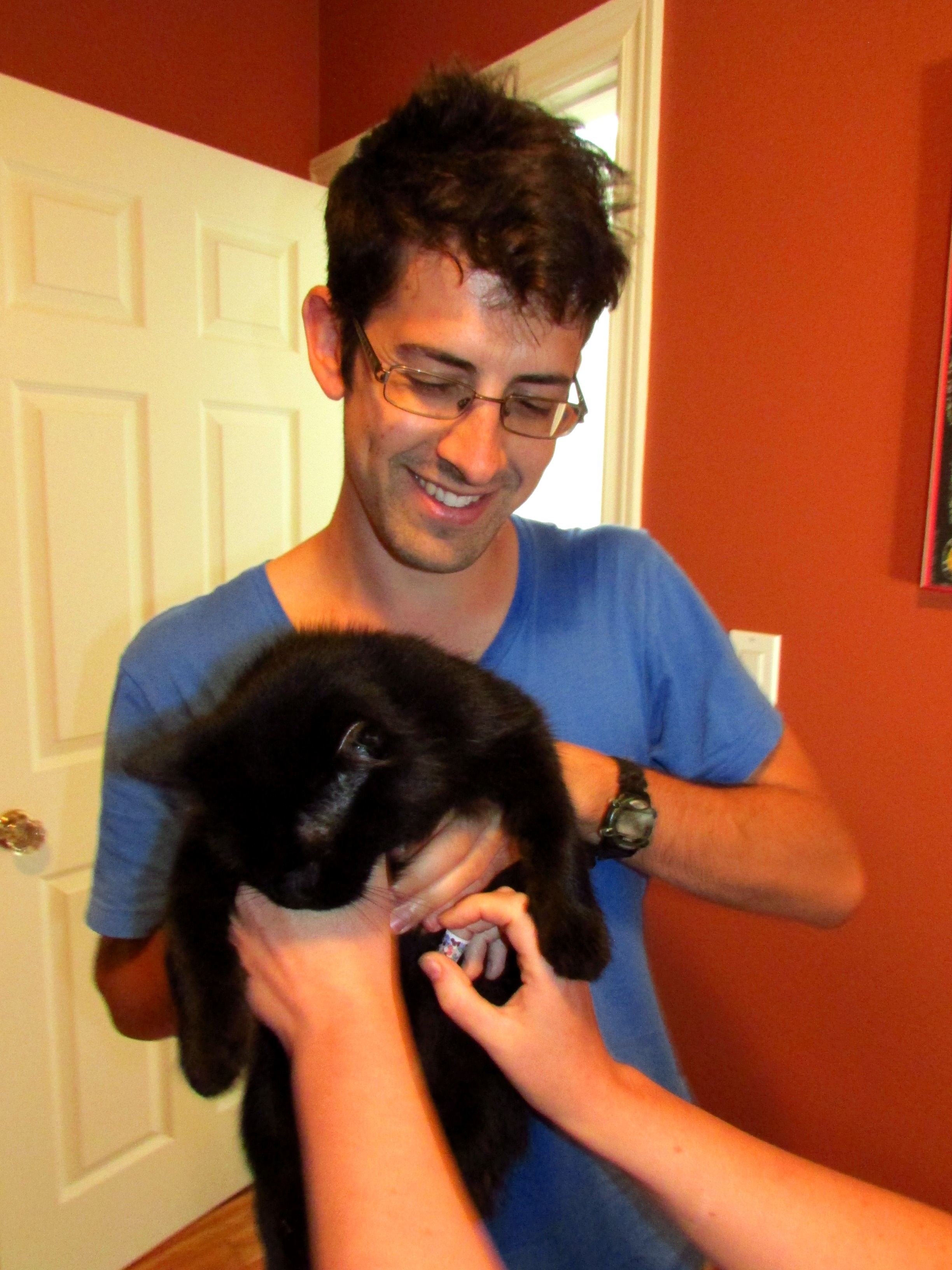 Endorsement by Toronto Feral Cat Coalition | Paul Bocking for City ...